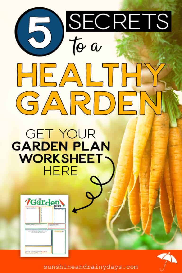 5 Secrets To A Healthy Garden - Sunshine and Rainy Days