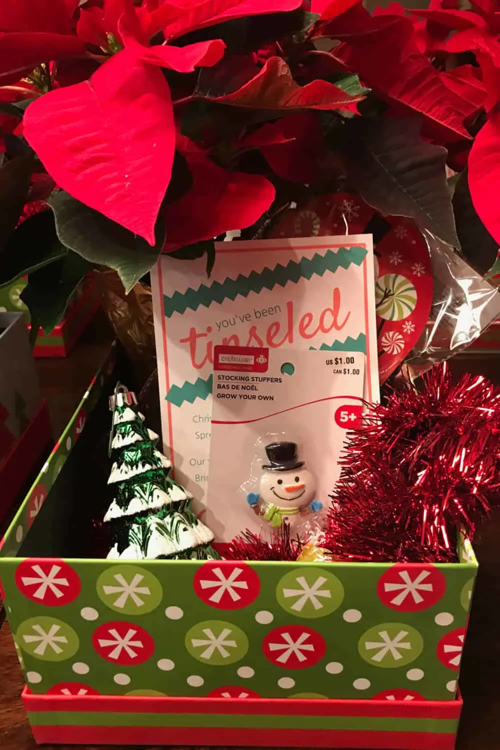 How To Tinsel Neighbors To Bring Christmas Cheer - Sunshine and Rainy Days