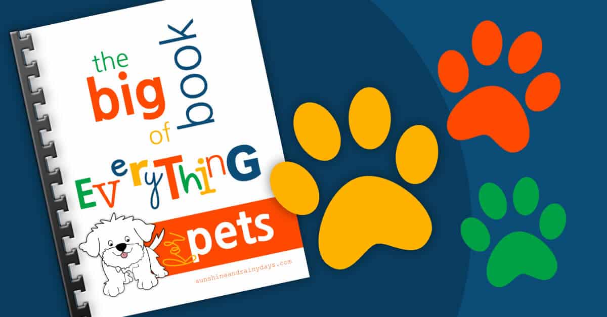 The Big Book Of Everything For Pets Pet Binder