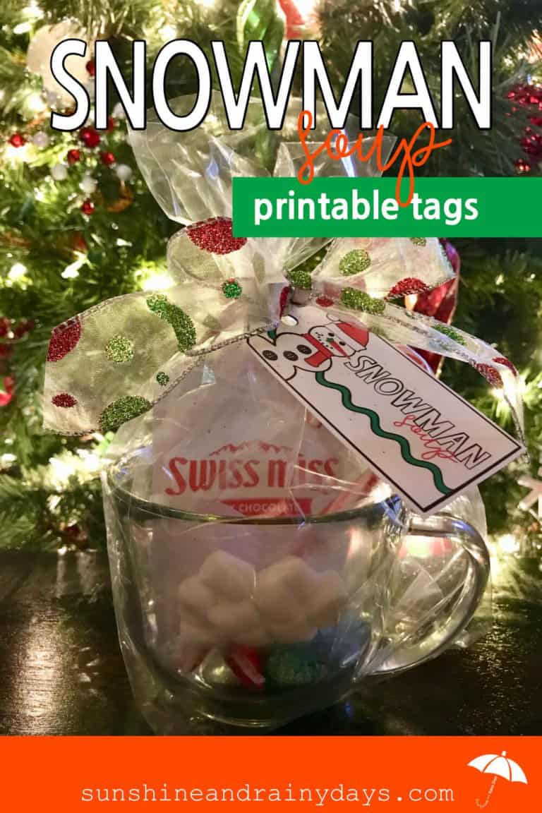 Super Simple Snowman Soup In A Mug Gift - Sunshine and Rainy Days