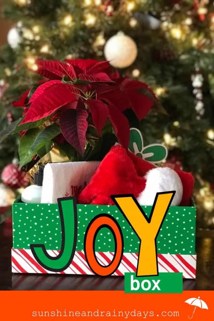 Christmas JOY Box - Sunshine and Rainy Days