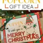 Just Poppin' By To Wish You A Merry Christmas Gift - Sunshine and Rainy ...