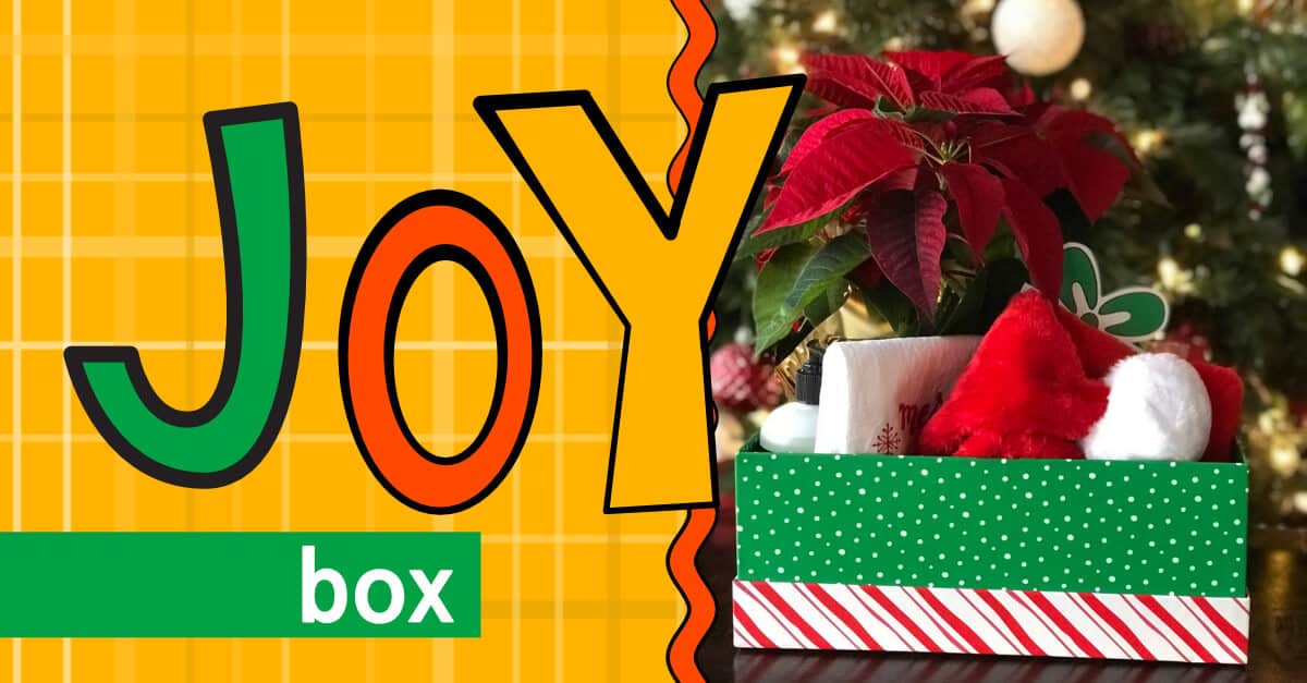Christmas JOY Box