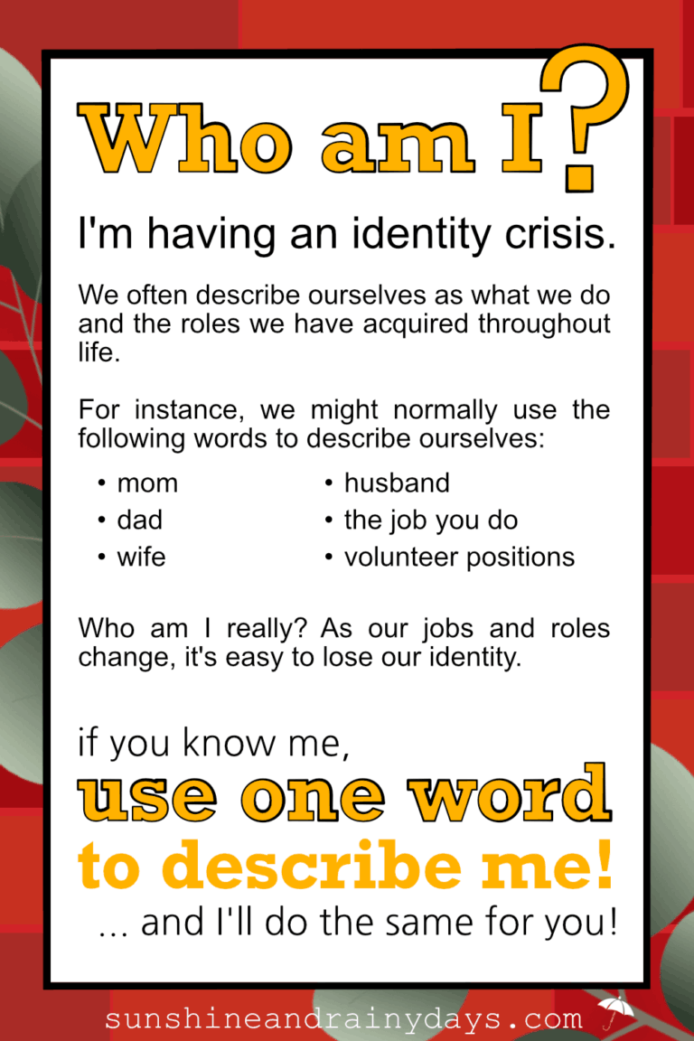Who Am I? (worksheet) - Sunshine and Rainy Days