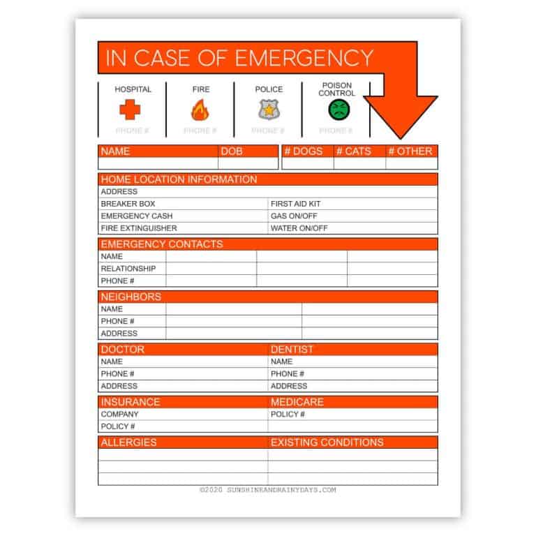 In Case Of Emergency Information Sheet - Sunshine and Rainy Days