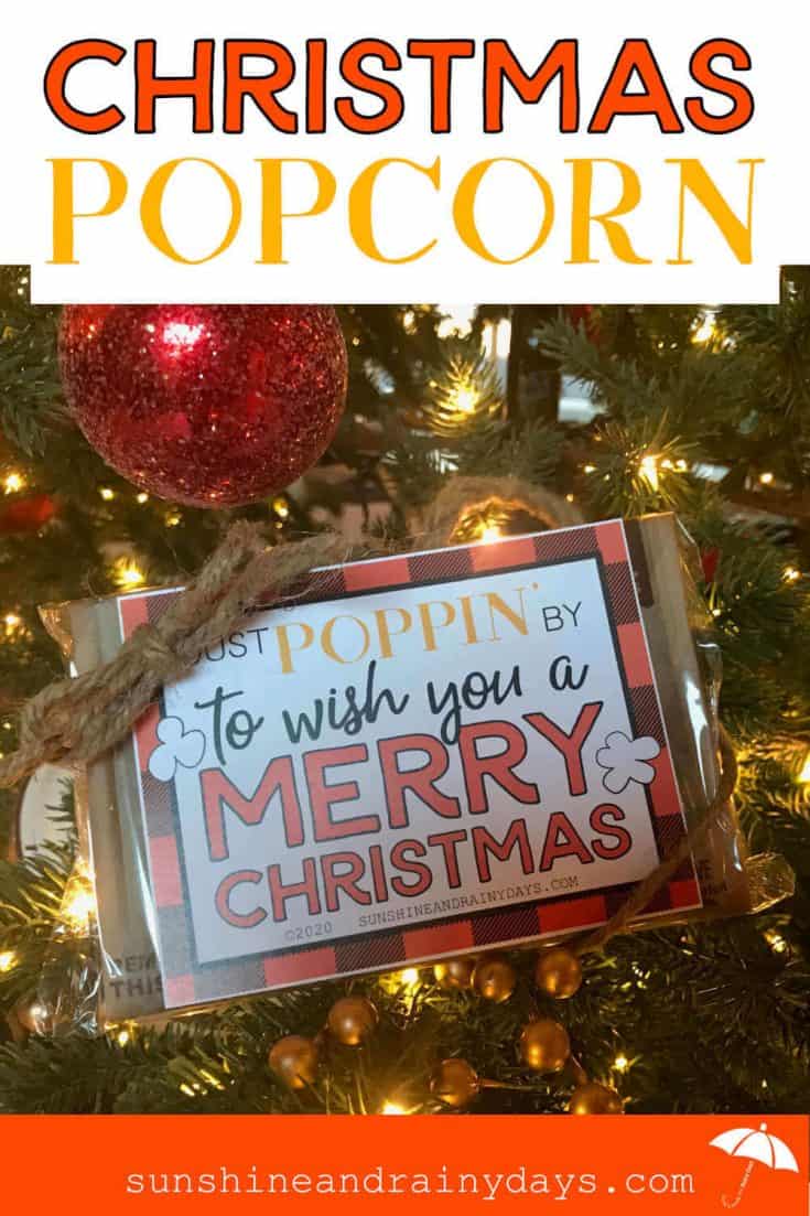 Just Poppin' By To Wish You A Merry Christmas Gift - Sunshine and Rainy ...