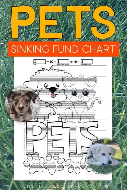 Sinking Fund Charts - Sunshine and Rainy Days
