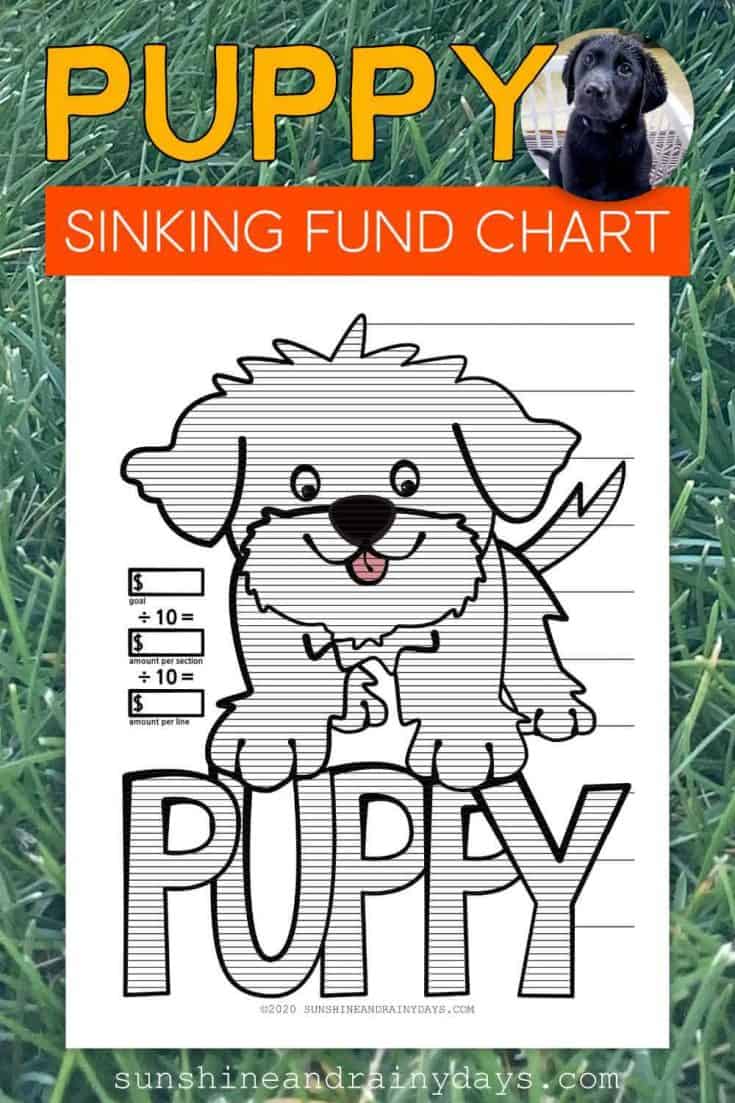 Sinking Fund Charts - Sunshine and Rainy Days