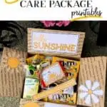 Sunshine Box Ideas To Brighten Someone's Day! - Sunshine and Rainy Days
