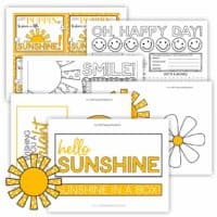 Sunshine Box Ideas To Brighten Someone's Day! - Sunshine and Rainy Days