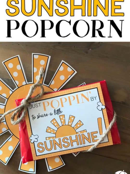 Sunshine Box Ideas To Brighten Someone's Day! - Sunshine and Rainy Days