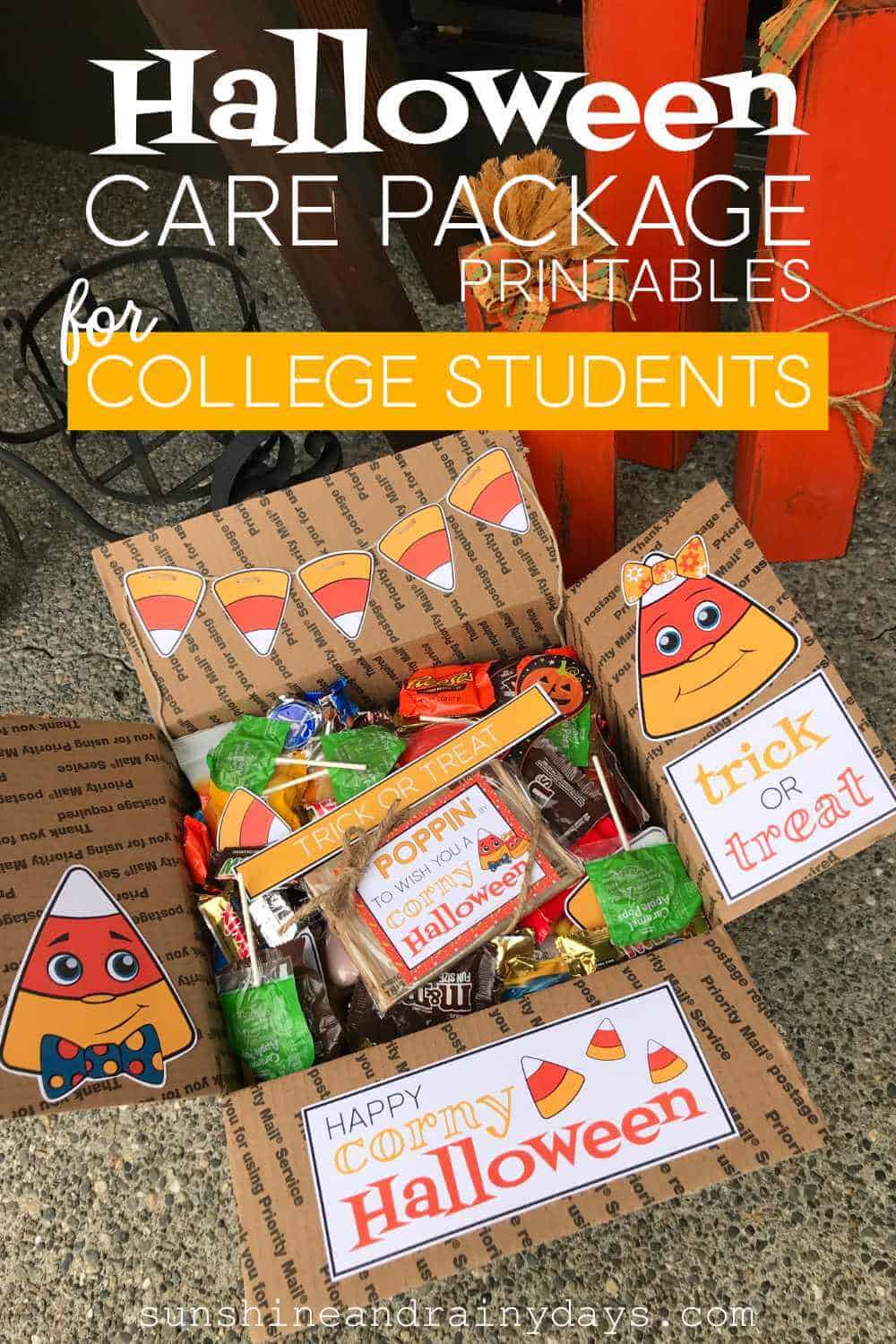 Halloween Care Package Ideas For College Students - Sunshine and Rainy Days