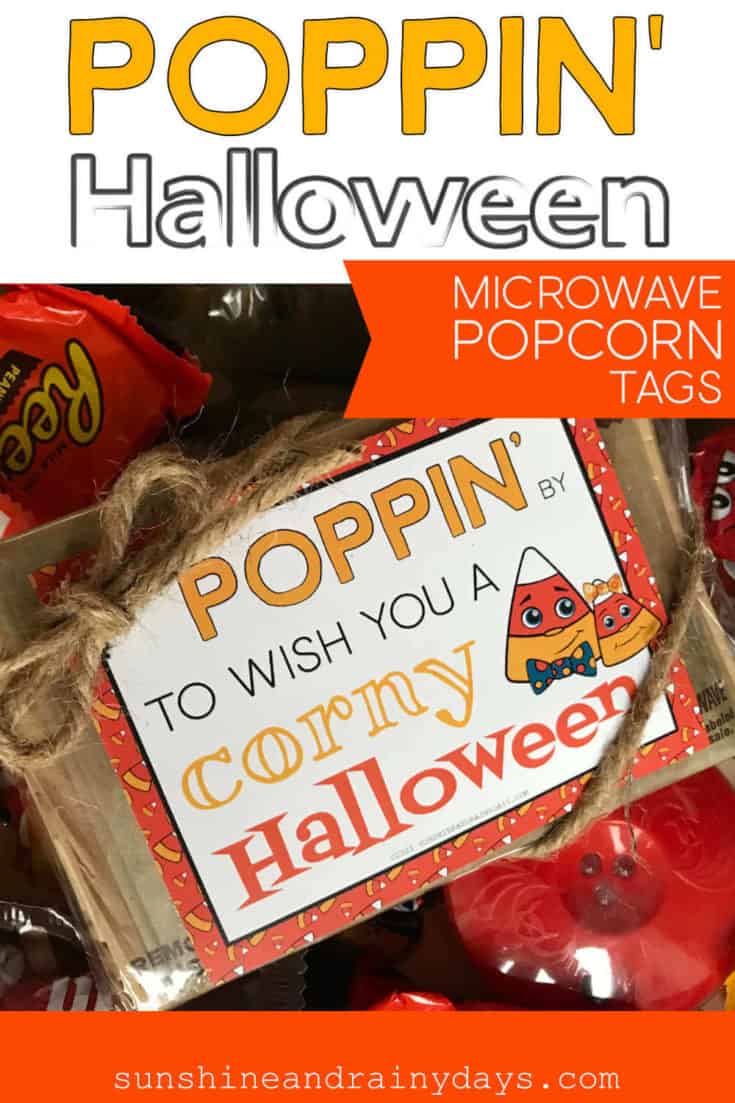 Just Poppin' By Halloween Popcorn - Sunshine and Rainy Days