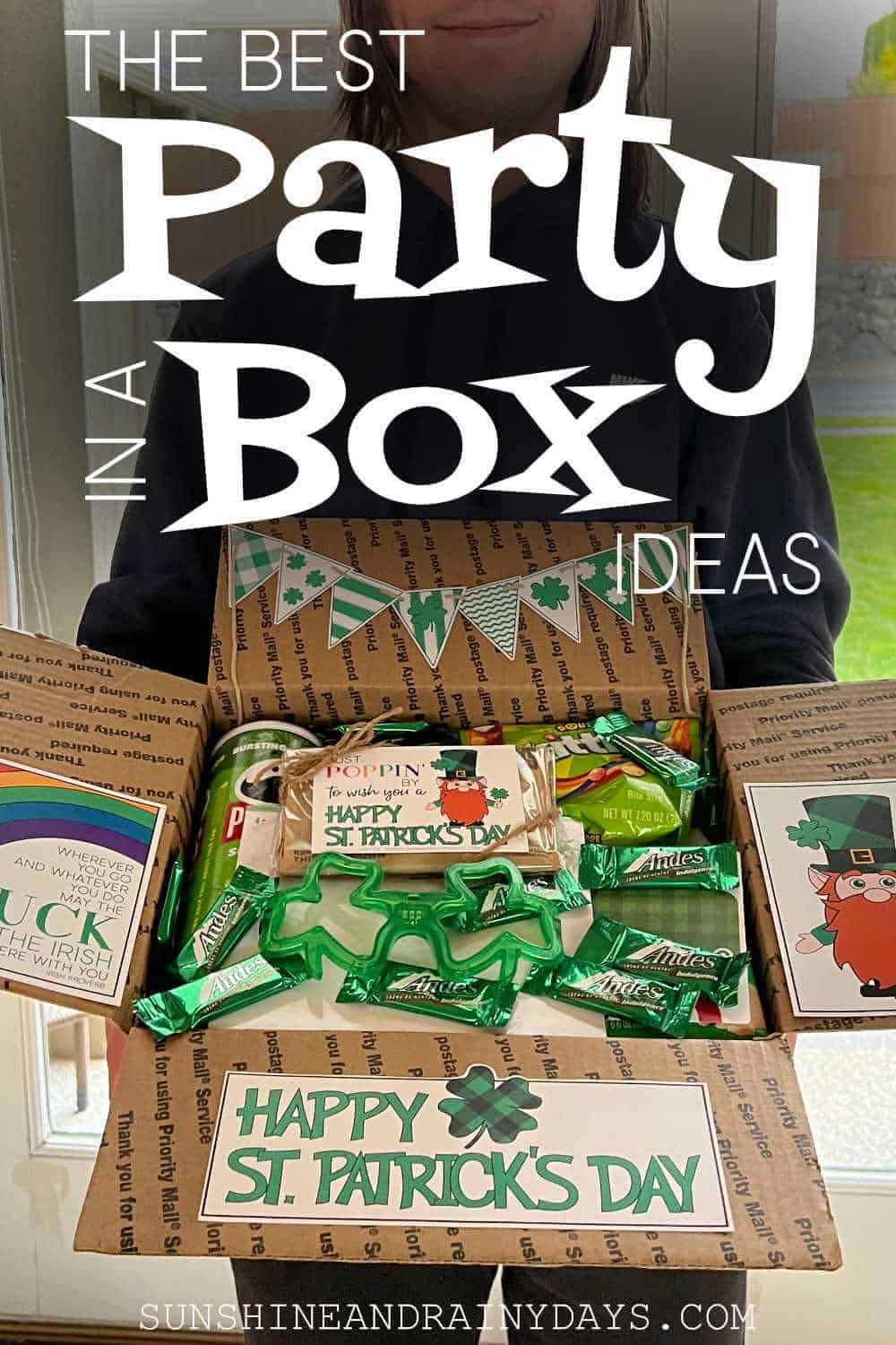 The Best Party In A Box Ideas - Sunshine and Rainy Days