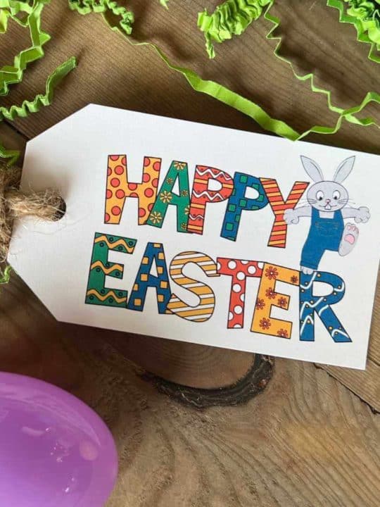 Easter Money Gift Idea - Sunshine and Rainy Days