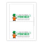 You've Been Pinched Printable Tags For St. Patrick's Day - Sunshine and ...