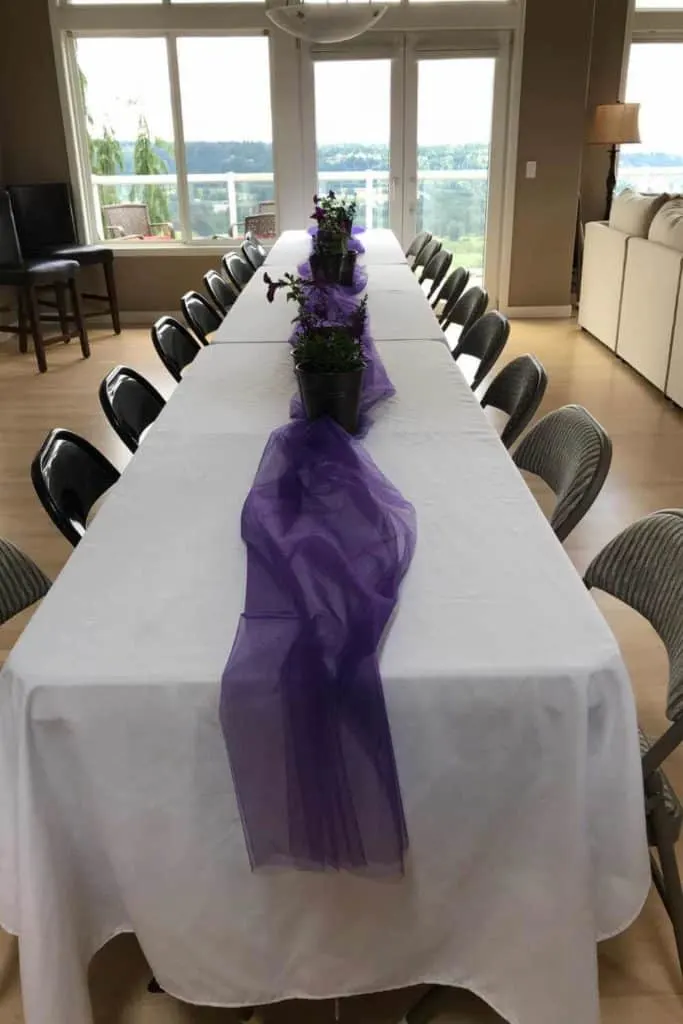 Graduation Party Planner - Sunshine and Rainy Days