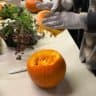 DIY Pumpkin Planter: A Step-By-Step Guide For Fall Decor - Sunshine and ...