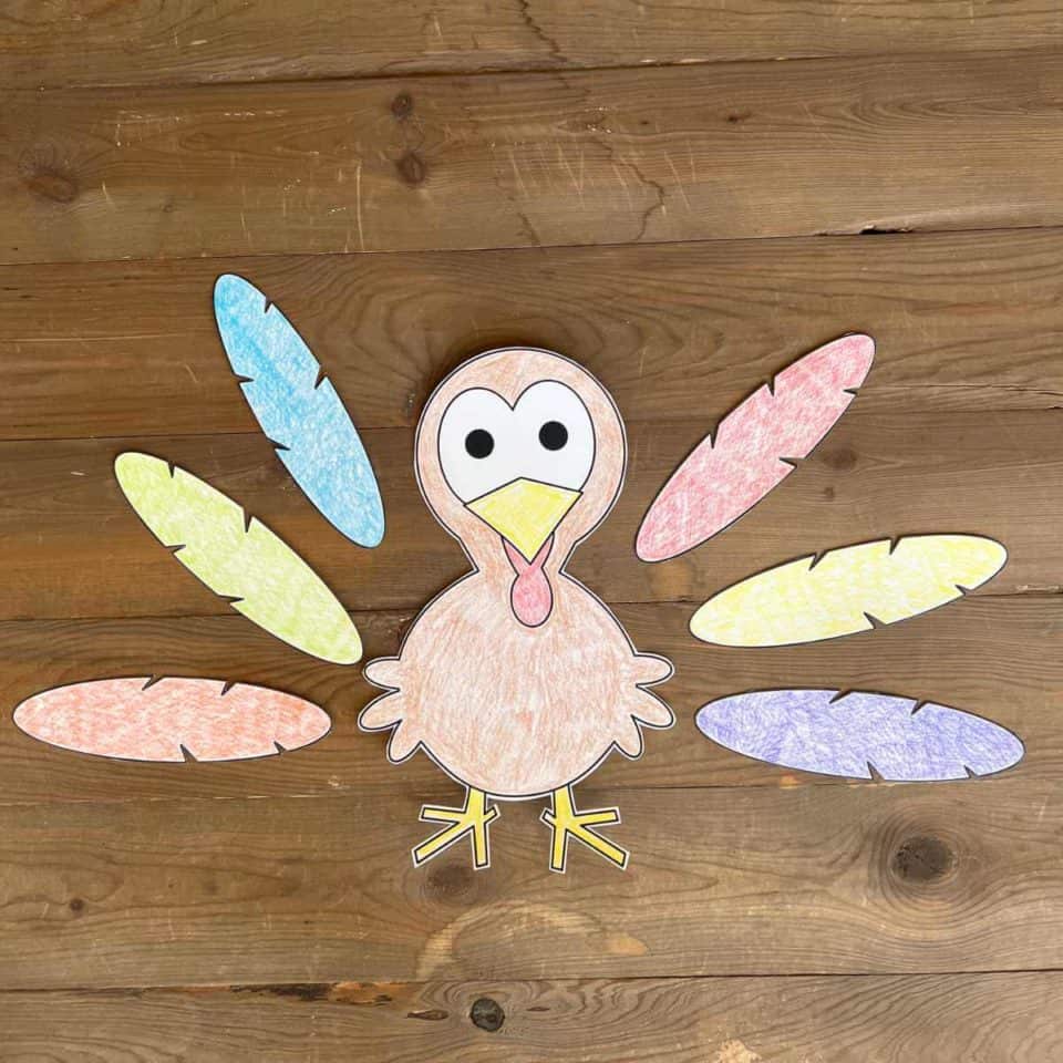 Turkey Coloring Activity - Sunshine and Rainy Days