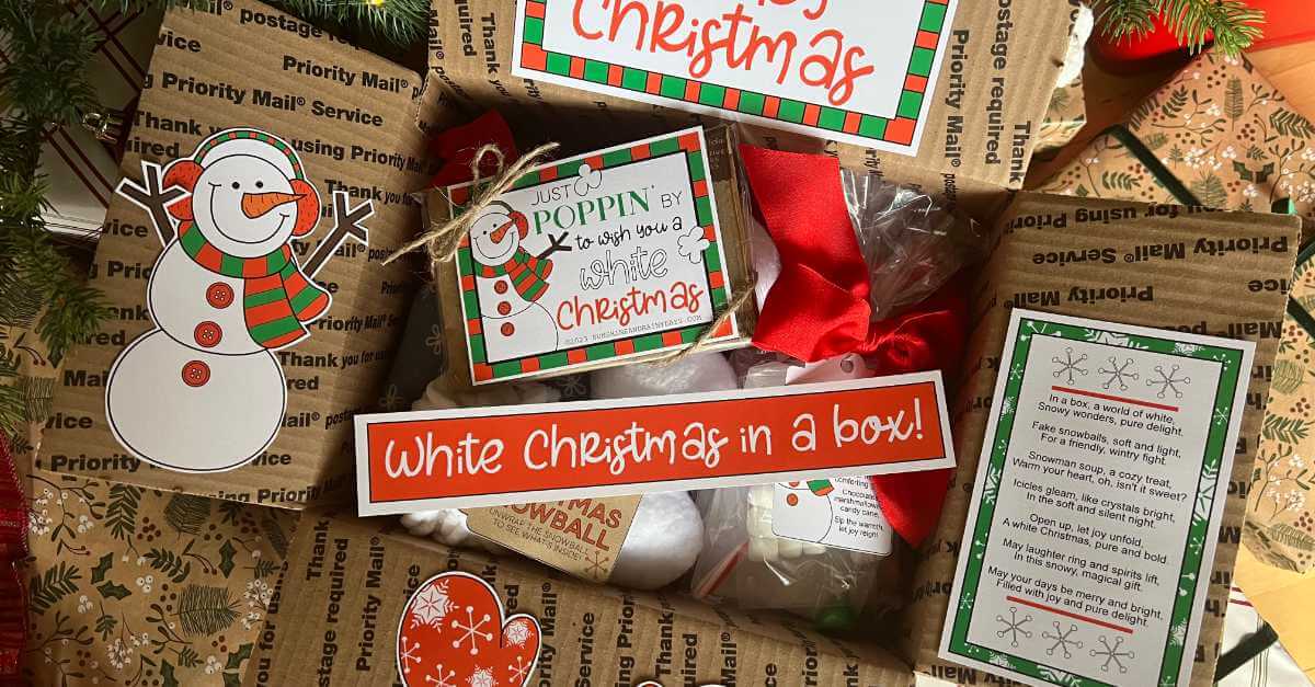 White Christmas In A Box Ideas - Sunshine and Rainy Days