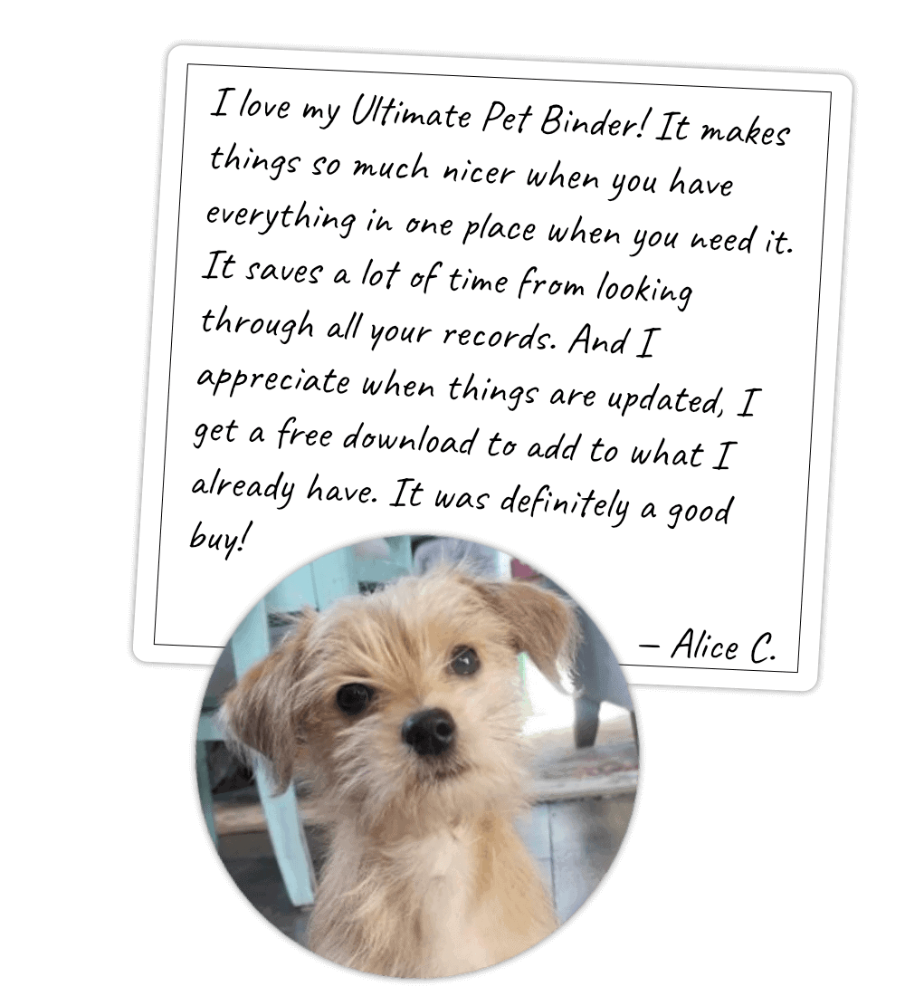 Keep Your Pets' Records Organized With The Ultimate Printable Pet Care ...